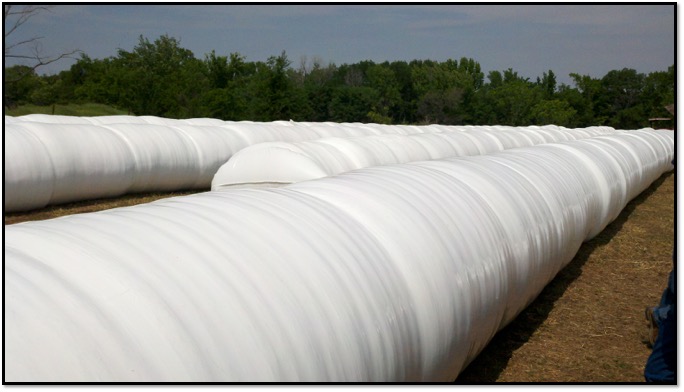 Baleage Provides Alternative Forage Harvesting Option in Wet Spring